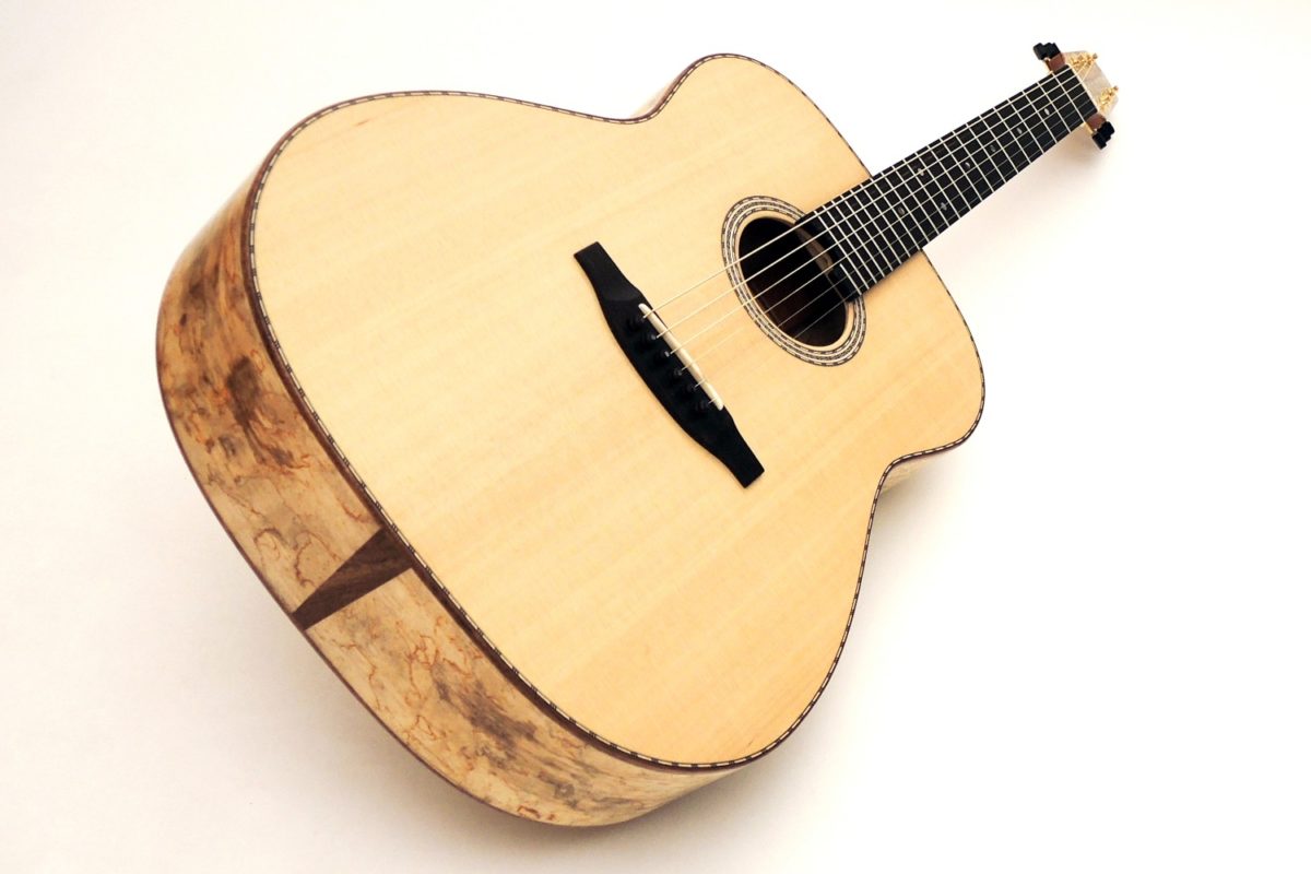 Steelstring Guitar Western Guitar Ambition Mango with Sitka Spruce Top