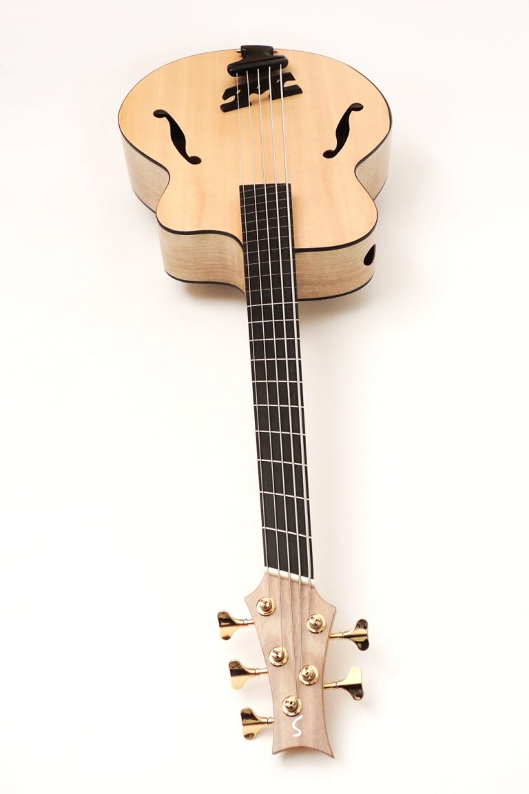 Archtop IQ Acoustic Bass 5-String - Stoll Guitars