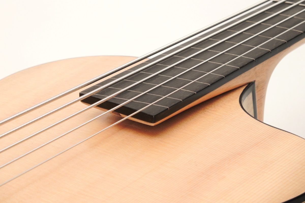 Archtop IQ Acoustic Bass 5-String - Stoll Guitars